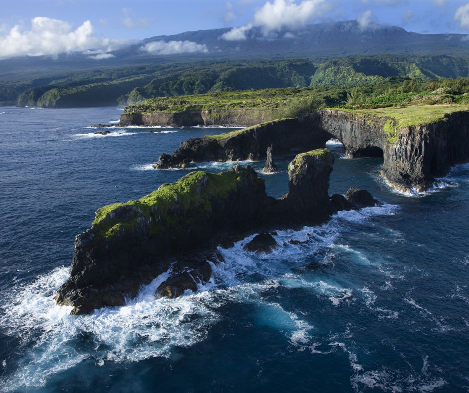 Maui Collection